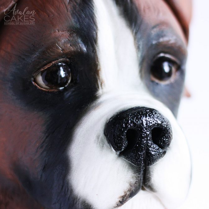 Puppy Dog Cake Tutorial • Avalon Cakes Online School